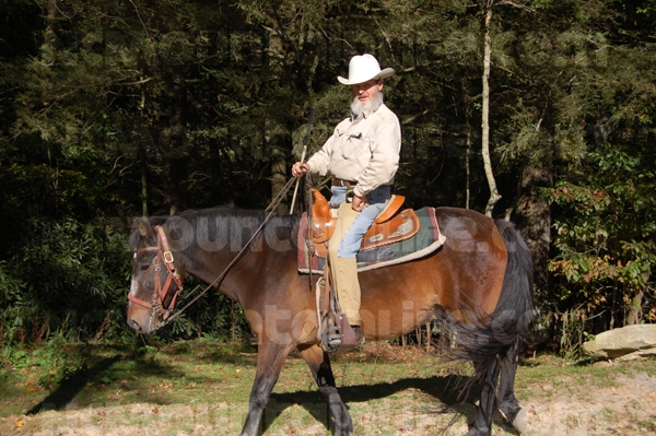 North Carolina Mountain Horseback Riding on Trails